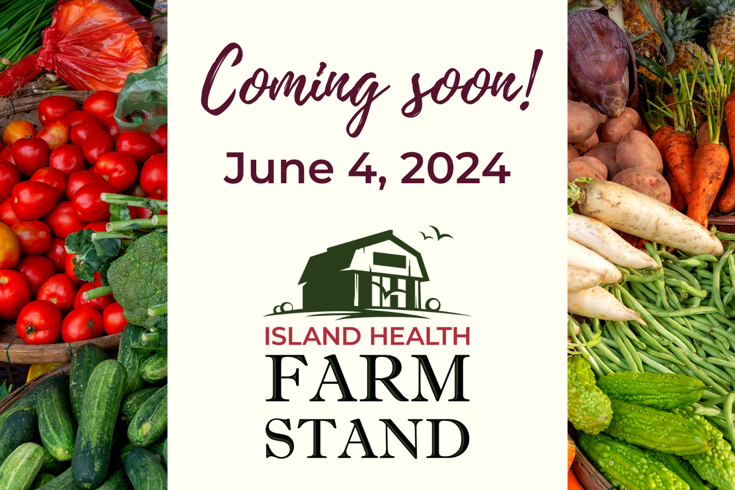 Farm Stand starts June 4 - IslandHealth.org